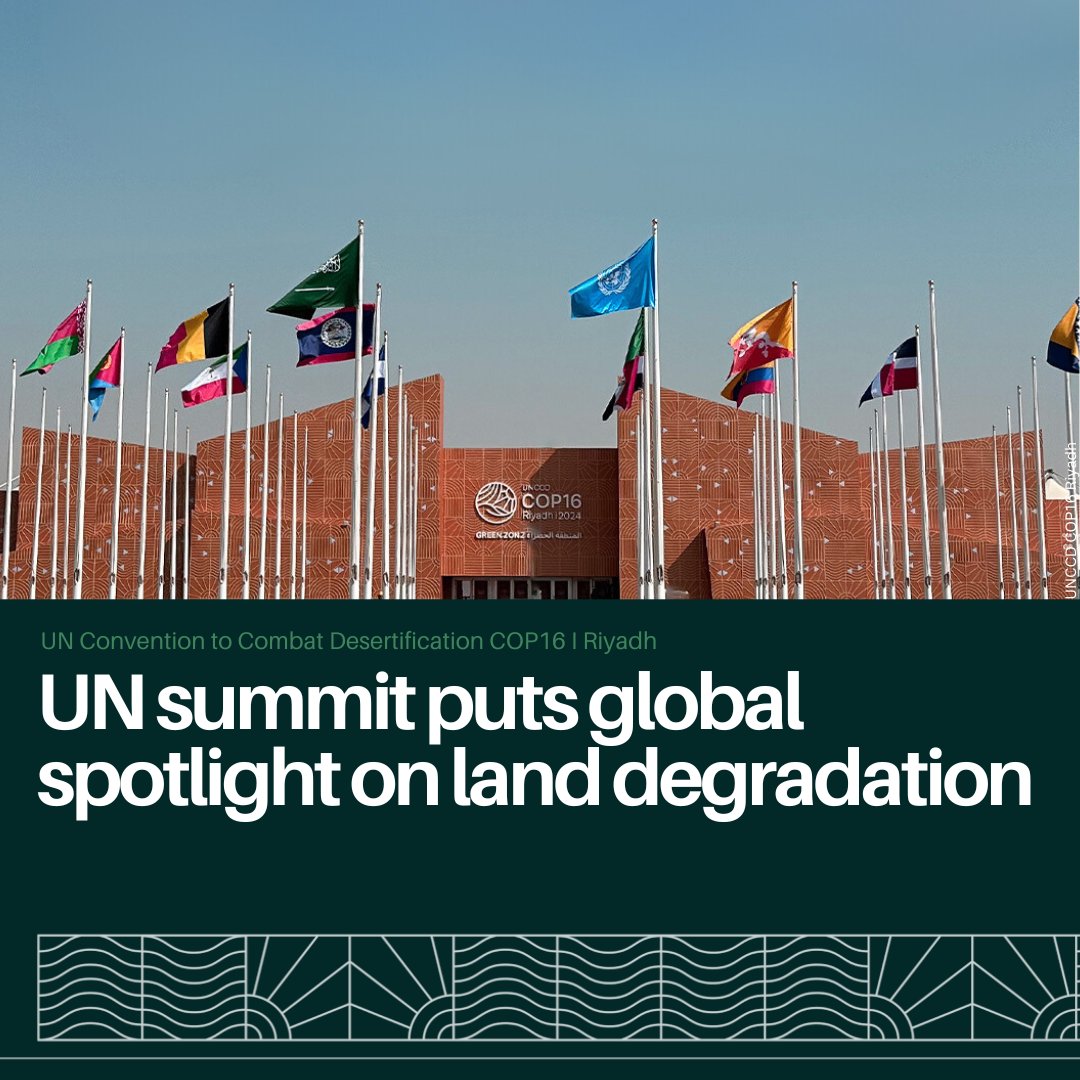 UN Convention to Combat Desertification – COP 16 Begins in Riyadh ...